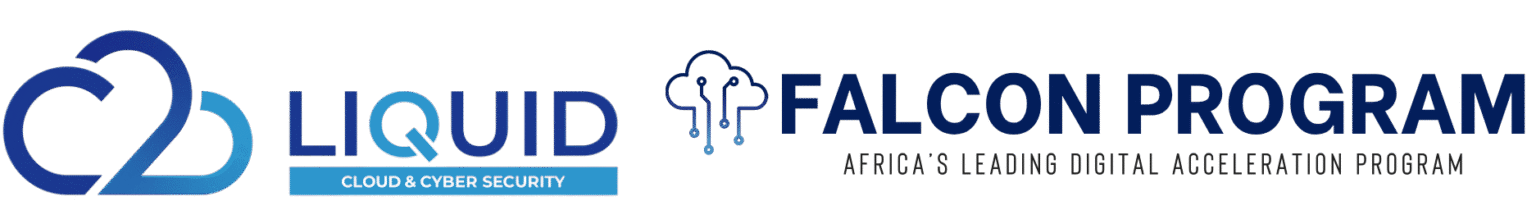 Falcon Program